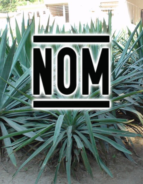 NOM Number Explained | Tequila Steve - Tequila Reviews, Lifestyle, and ...